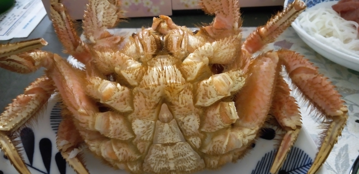 毛ガニ - wark-tethuya’s blog