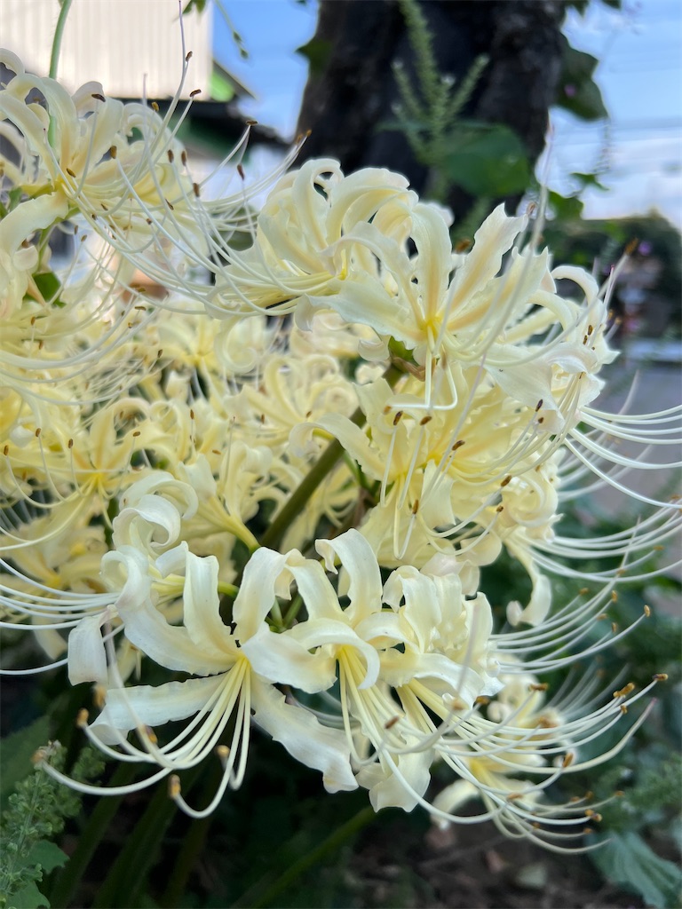 10月のクラススケジュール - Under The Same Sky