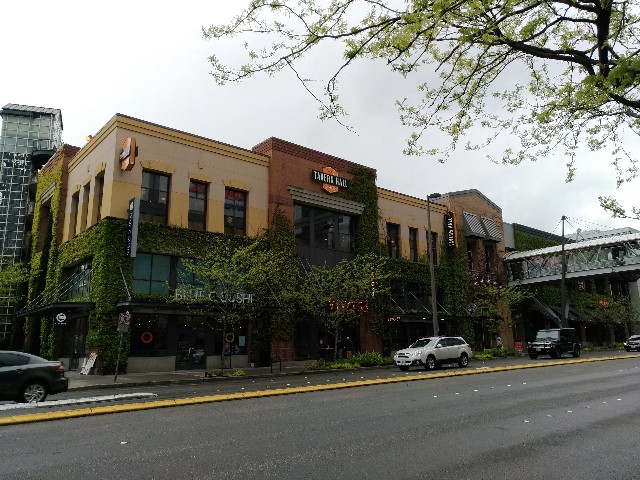 Tavern Hall - Seattle's Best Beer