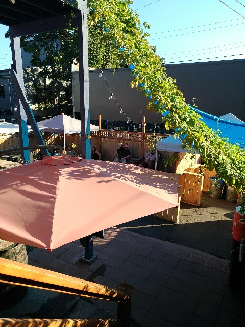 Outlander Brewery and Pub - Seattle's Best Beer