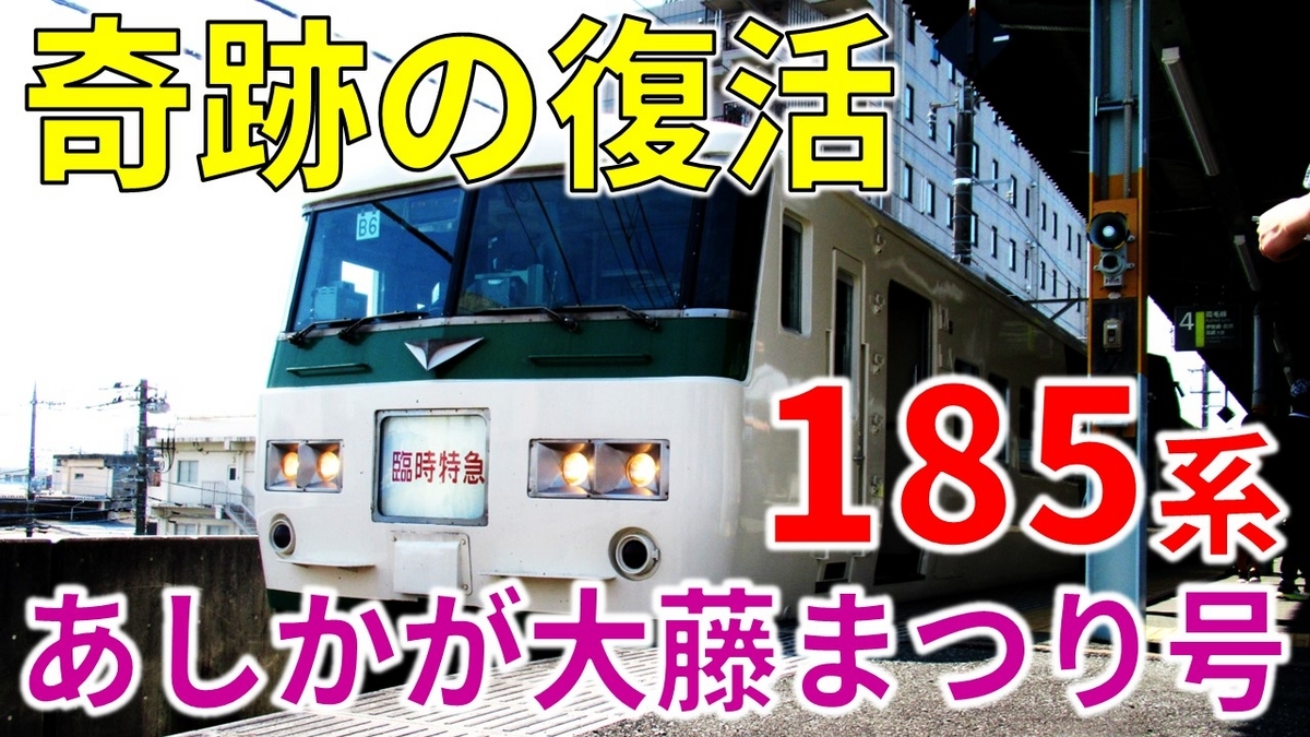【帰ってきた185系】往年の名列車に思いを馳せて駆け抜ける魂の2時間48分[桐生→大船] - わたかわ 鉄道＆旅行ブログ