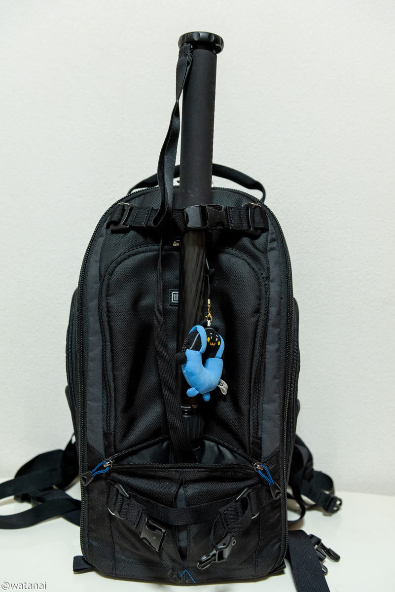 thinkTANK StreetWalker Pro V2.0についてちょろっと書いてみる - カメラと酒、時々クルマ