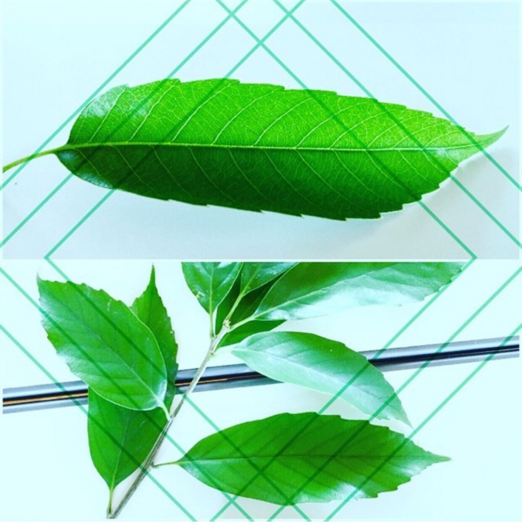 2016年に使い始めて、今も使い続けている便利なアプリ10 - Feel Physics Backyard