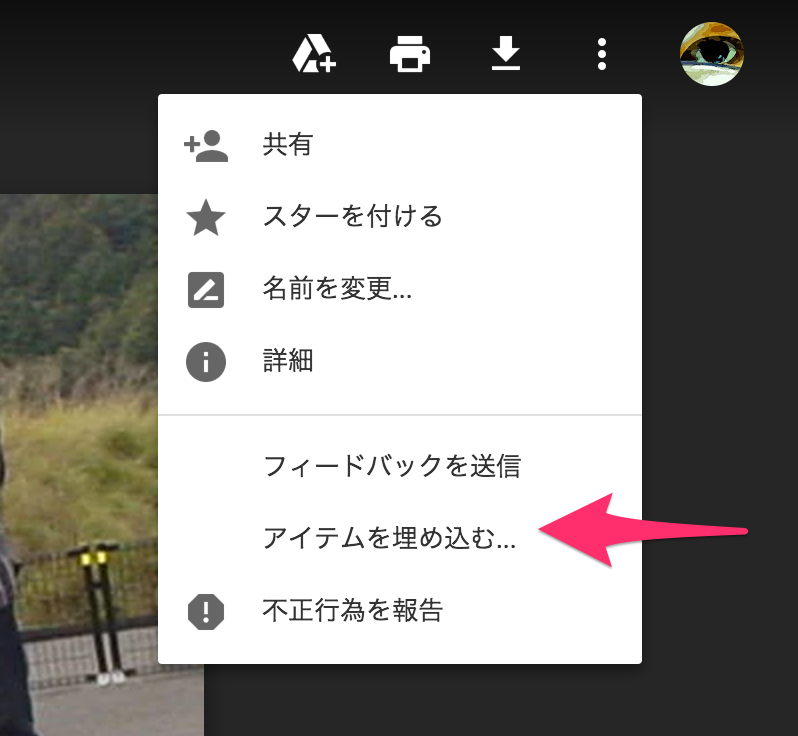 Googleフォトの写真や動画をWebページに埋め込むには（追記あり） - Feel Physics Backyard