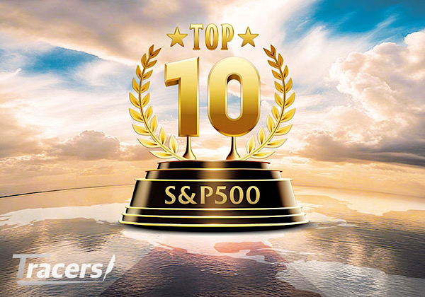 【爆誕】日興AMの「Tracers S＆P500トップ10インデックス（米国株式）」NASDAQ100とのリターンはどうなのか？ - うぃーずブログ