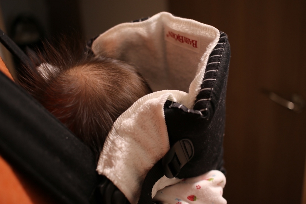 ベビービョルンの抱っこ紐 専用スタイ - ワッサンの平凡で堅実な生活ブログ