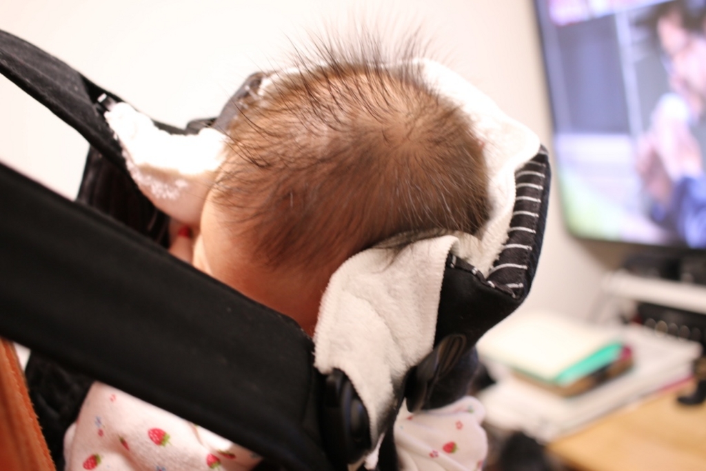 ベビービョルンの抱っこ紐 専用スタイ - ワッサンの平凡で堅実な生活ブログ