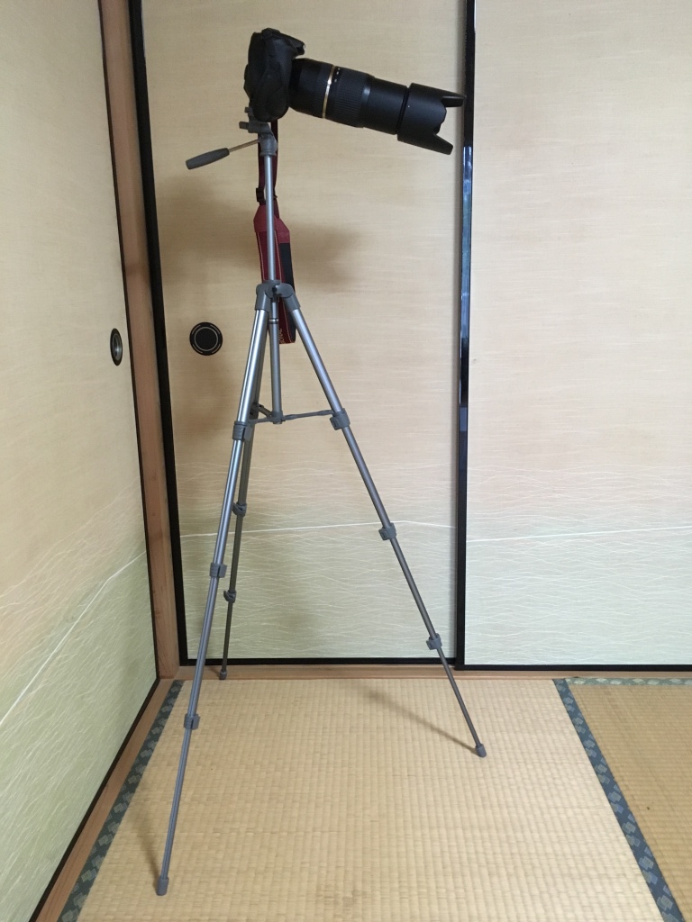 お盆休みに買ったもの① - ワッサンの平凡で堅実な生活ブログ