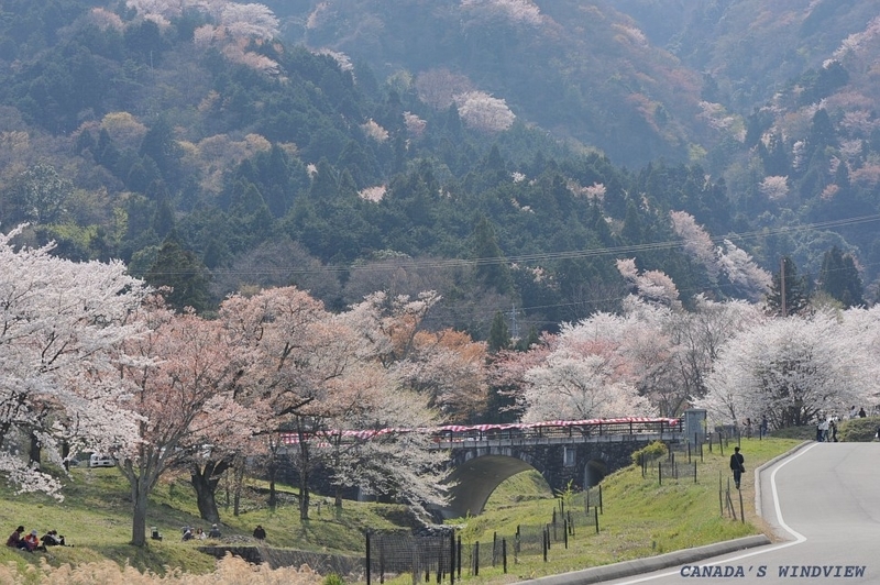 霞間ヶ渓 - CANADA'S WINDVIEW