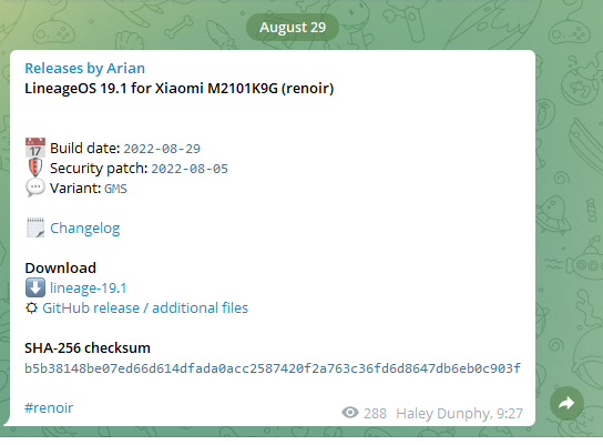 【Felica不可】Mi11Lite5G向けカスタムROM「LinegaeOS」にアップデート【Android12L】 - ROM焼き試験場