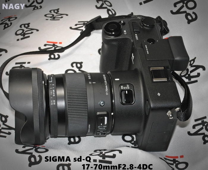 SIGMA sd-Q - nagy's diary