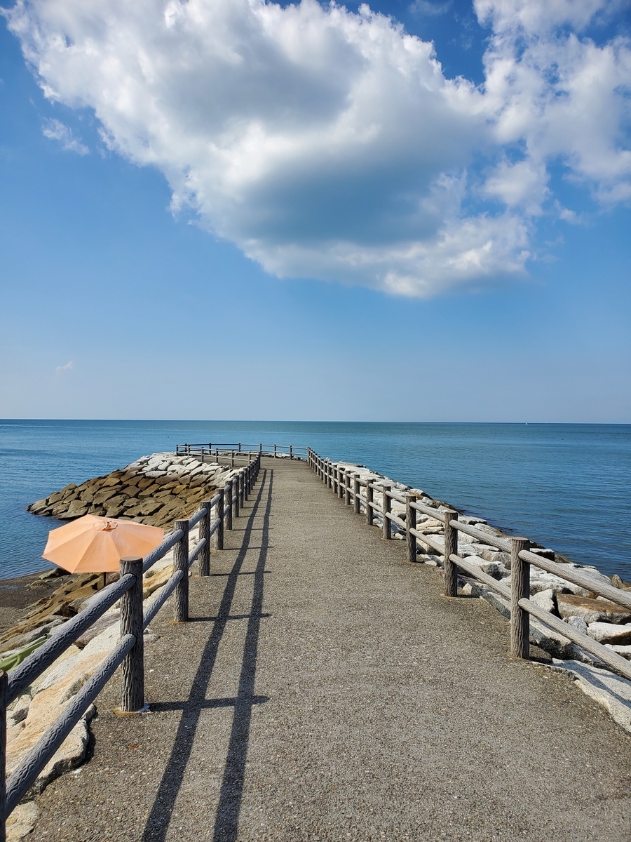 緊張しまくりの私が、DaiGoさん達の動画で学んだこと - 不労所得で暮らす30独身女のゆるライフ