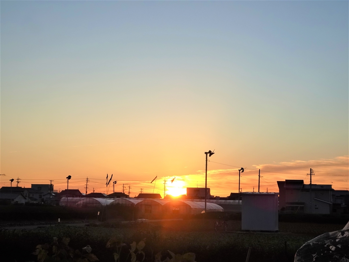 浜ちゃんの散歩道(201) 防寒対処の服装で手袋を着用することにした - y_hamadaのブログ