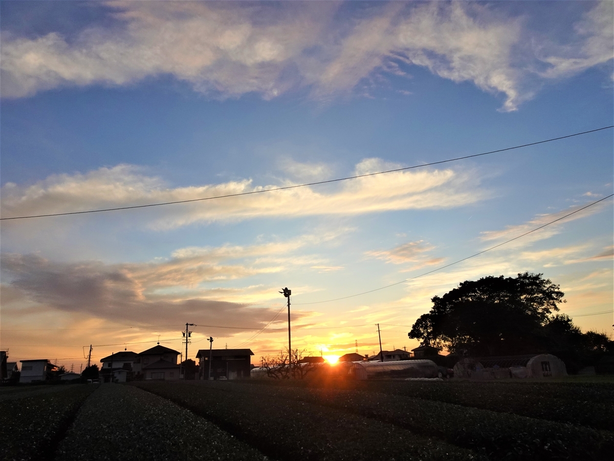 浜ちゃんの散歩道(201) 防寒対処の服装で手袋を着用することにした - y_hamadaのブログ