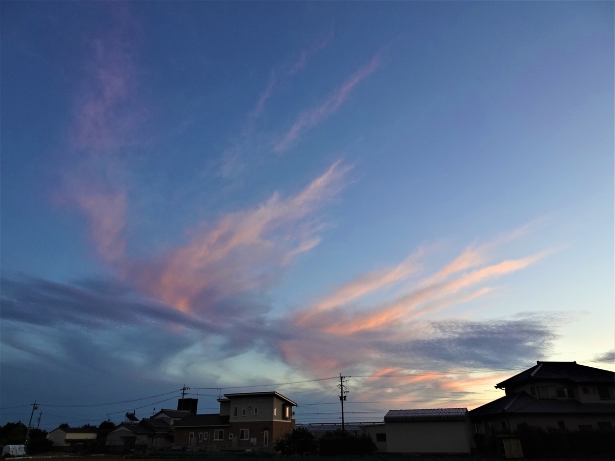 浜ちゃんの散歩道(201) 防寒対処の服装で手袋を着用することにした - y_hamadaのブログ