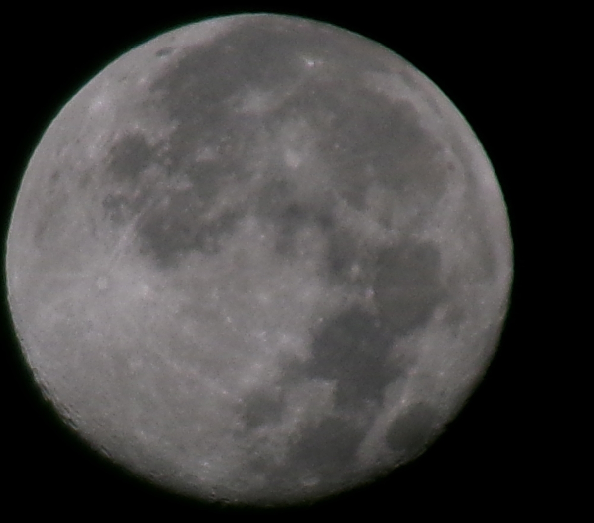 浜ちゃん90歳の散歩道(1407) 今日は立冬 24節気のひとつ暦の上では冬に入った 風邪を引かないように気分を引き締めた - y ...