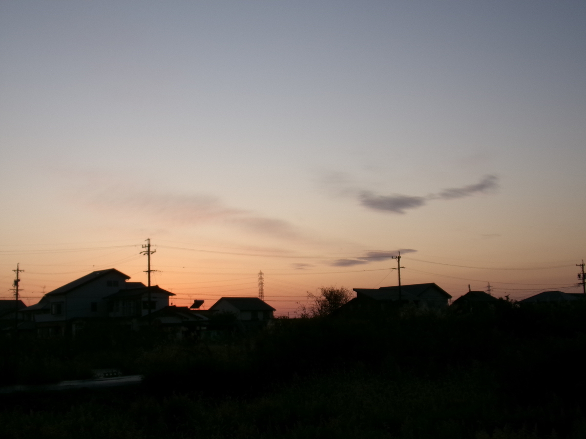 浜ちゃん90歳の散歩道(1407) 今日は立冬 24節気のひとつ暦の上では冬に入った 風邪を引かないように気分を引き締めた - y ...