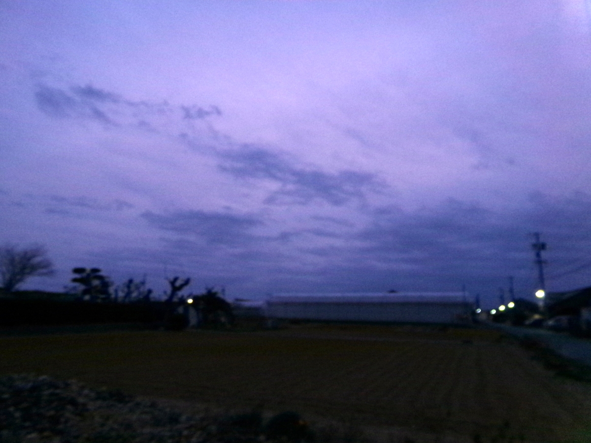 浜ちゃん90歳の散歩道(1472) 今年最強の寒波が来襲するとの予報通り、早朝から台風並みの強風が吹き荒れ、終日、上空は唸り声が聞こえ - y_hamadaのブログ