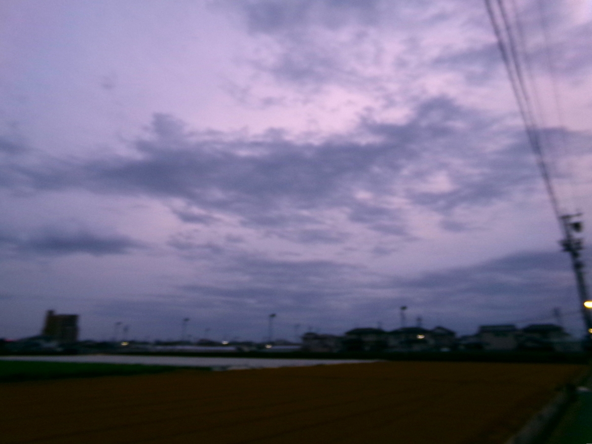 浜ちゃん90歳の散歩道(1472) 今年最強の寒波が来襲するとの予報通り、早朝から台風並みの強風が吹き荒れ、終日、上空は唸り声が聞こえ - y_hamadaのブログ