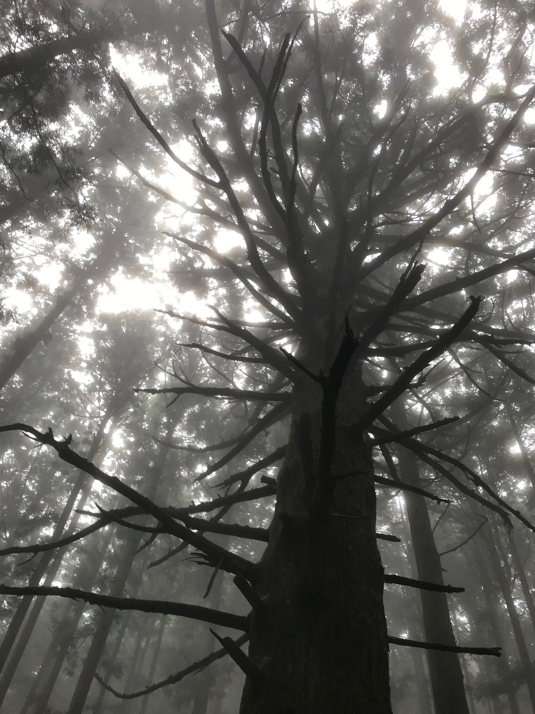 yagisukeのお山なブログ