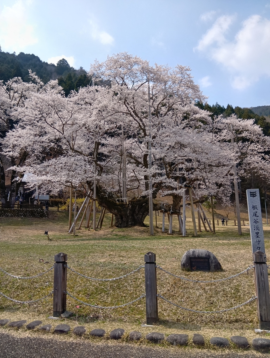 のほほんブログ
