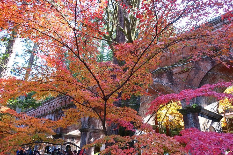 京都 晩秋 南禅寺2023 - yama-day
