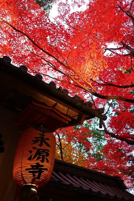 永源寺2023 - yama-day