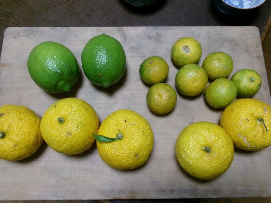 同級生 ’24 - NPO人 山田道治