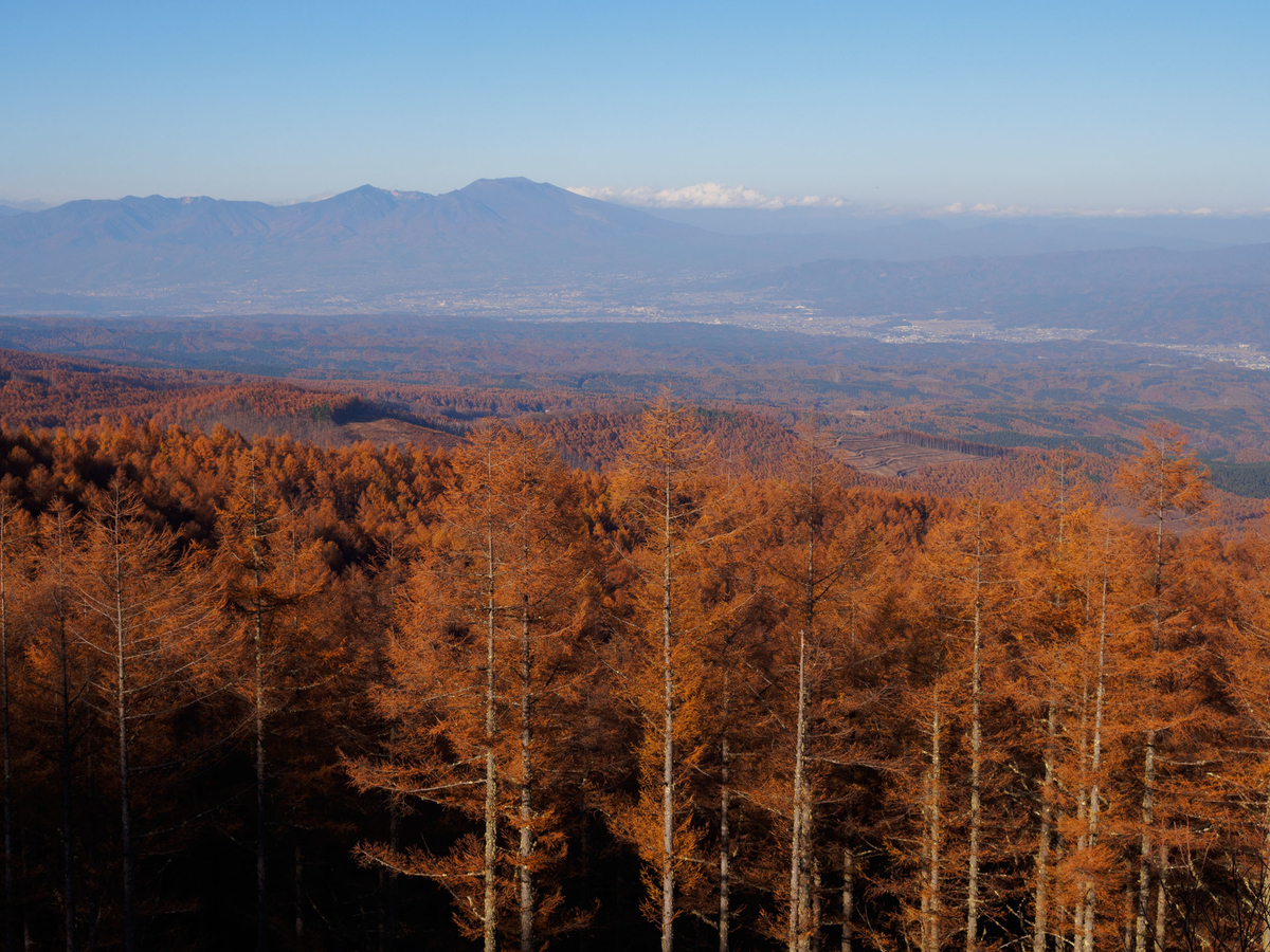 カラマツ - 星景写真の壁打ち場