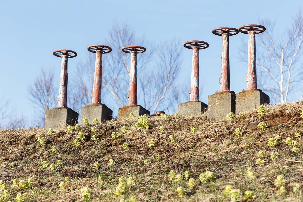 ふきのとう - 星景写真の壁打ち場