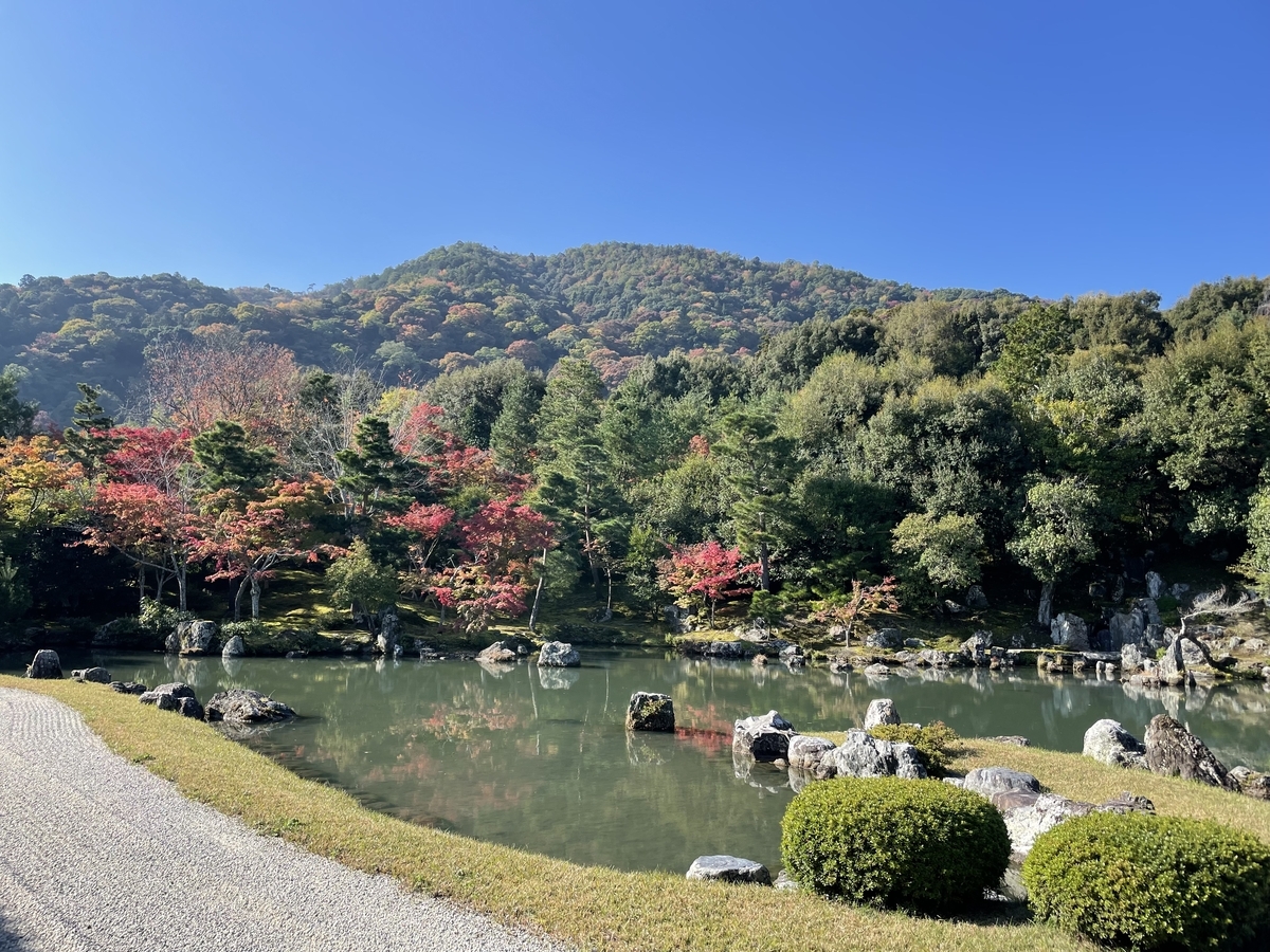 秋の京都2日目｜嵐山の竹林・渡月橋・トロッコ電車を満喫する大人旅 - yammy’s BLOG