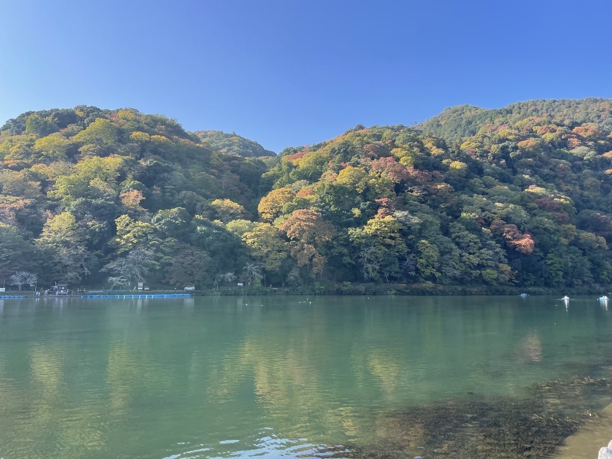 秋の京都2日目｜嵐山の竹林・渡月橋・トロッコ電車を満喫する大人旅 - yammy’s BLOG