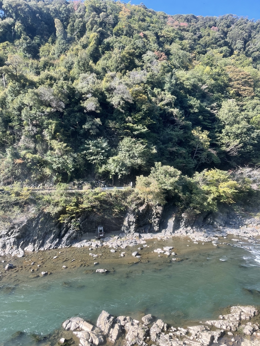 秋の京都2日目｜嵐山の竹林・渡月橋・トロッコ電車を満喫する大人旅 - yammy’s BLOG