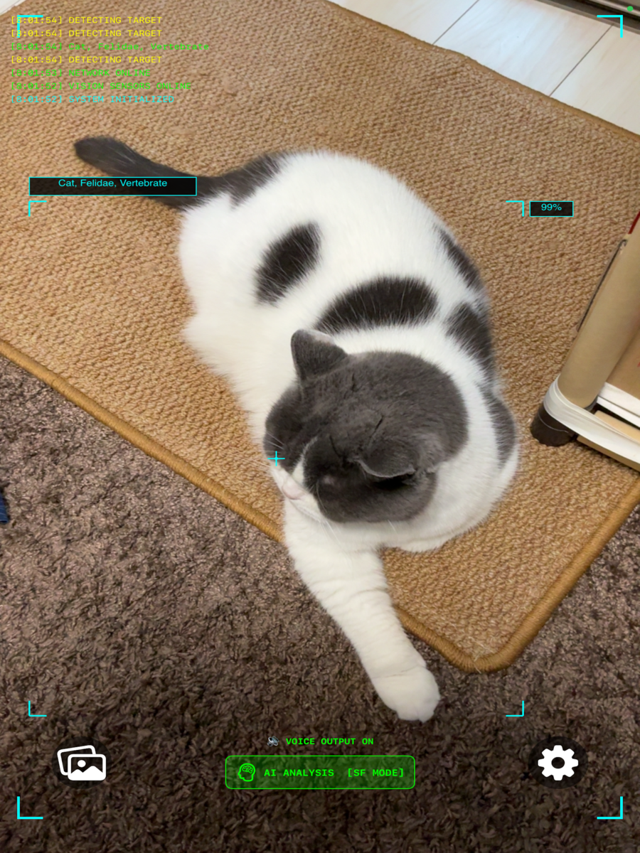 PhotoAnalyze Major Update! Enhanced Image Analysis with iPad Support, SF Mode, and Voice ...