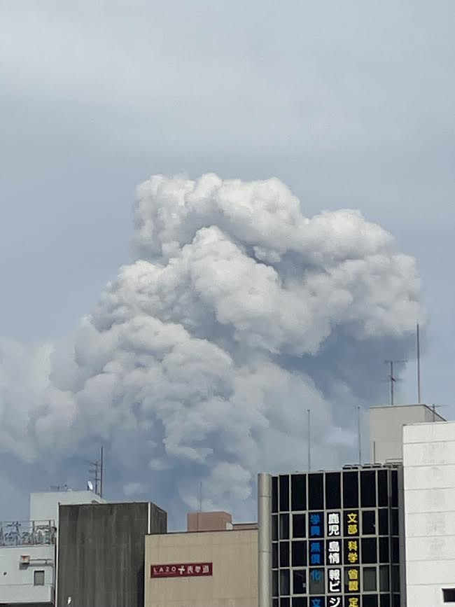 2人目アナリティクスエンジニアとして入社して1年が経ちました【在籍エントリ】 - Nealle Developer's Blog