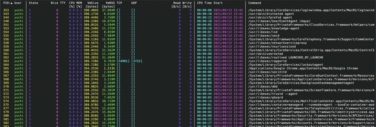 プロセスの表示をカラフルにわかりやすくするprocs - yiskw note