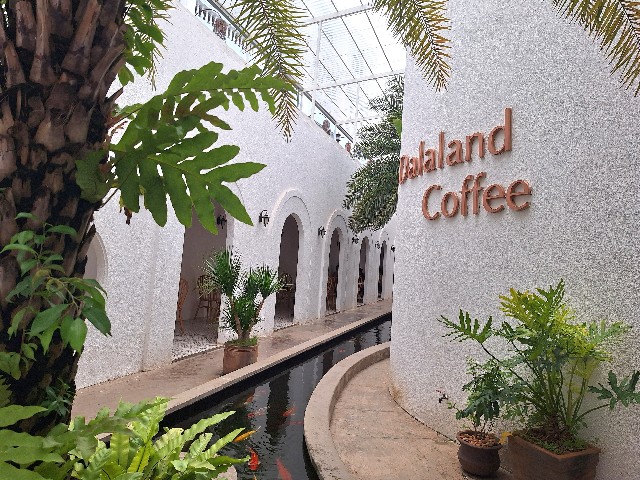 Visit Dalaland Coffee in Ho Chi Minh, Where Carp Fish Swim Overhead ...