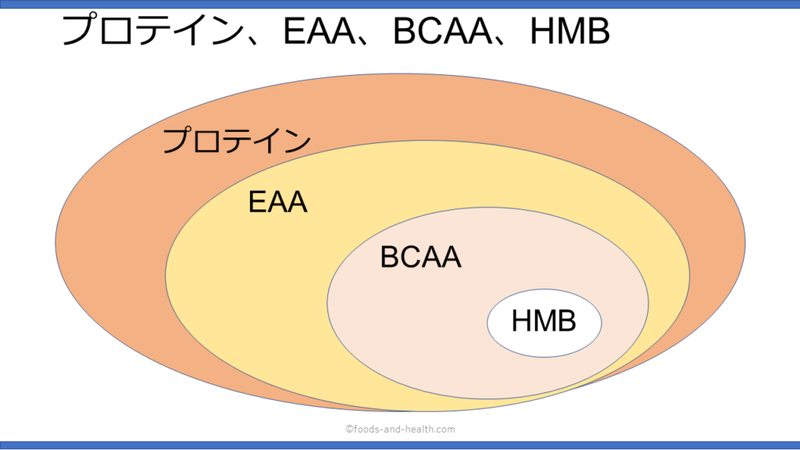 【サプリメント解説】プロテイン、EAA、BCAA、HMBの違い - ヨーグルト&健康オタク ヨーグルトリさん