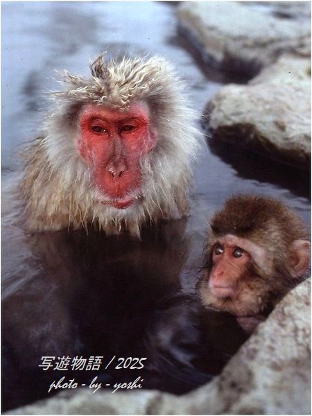 いい湯だなぁ - 写遊物語