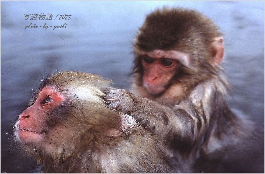 いい湯だなぁ - 写遊物語