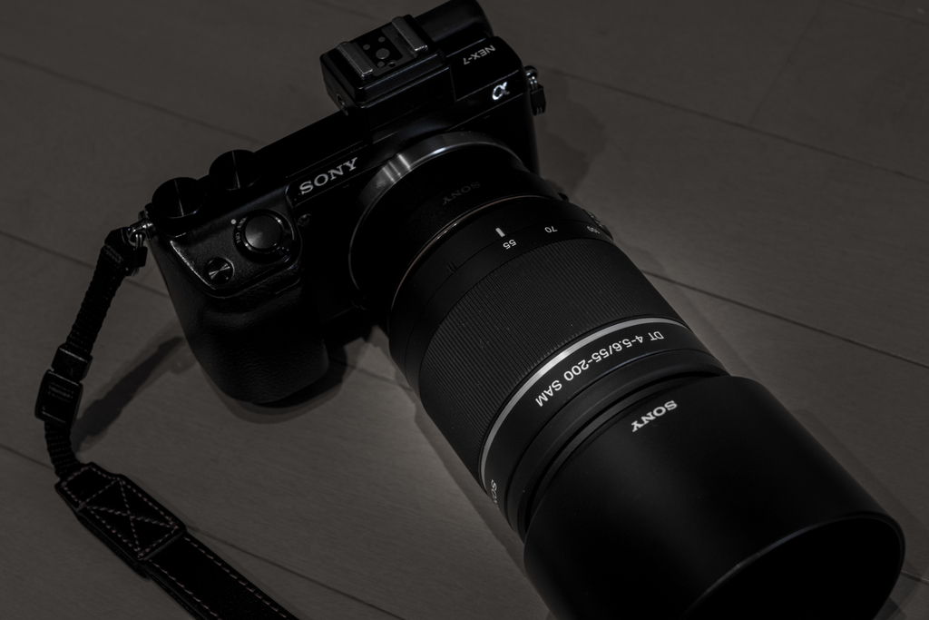 SONY SAL55200-2のマニュアル・フォーカスはチョーむずい - その瞬間を切り撮る