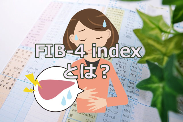 FIB-4 indexとは？肝臓の健康状態が自分で調べられる！ - ビジネスコンサルティングの現場から
