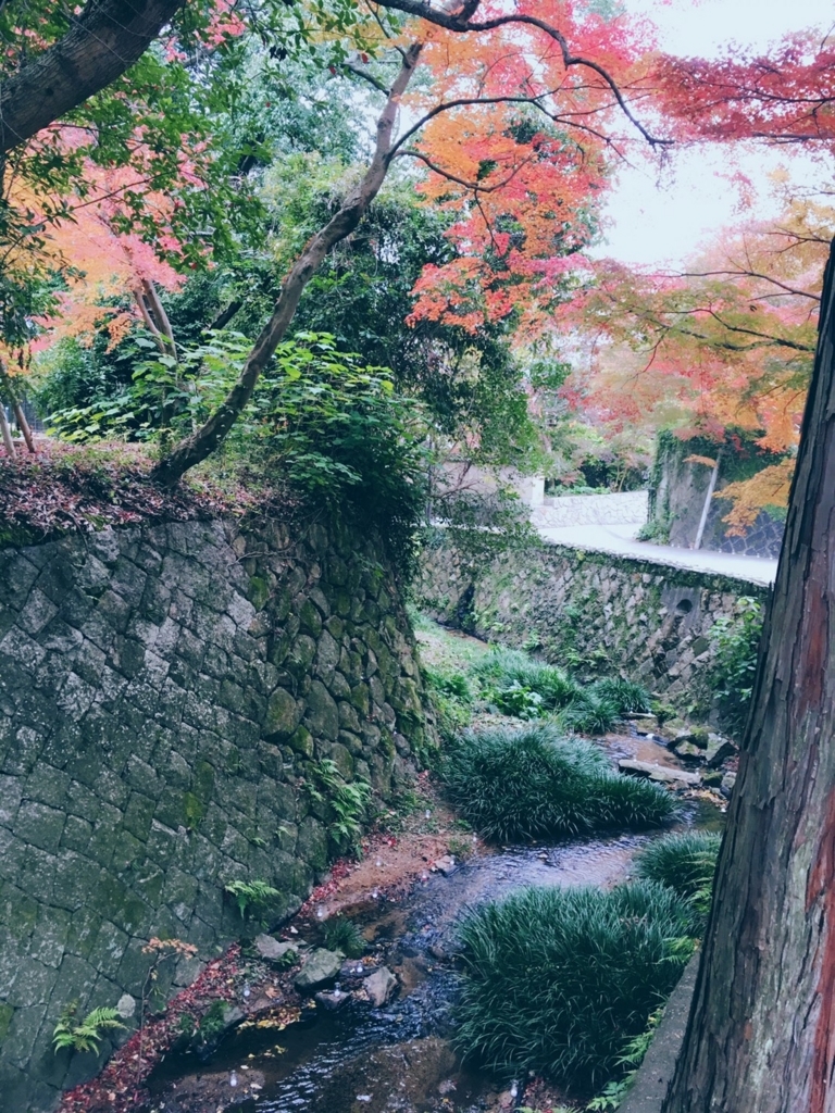 彩の城下町長府🕯秋 - Yoshimi Girls' Collection