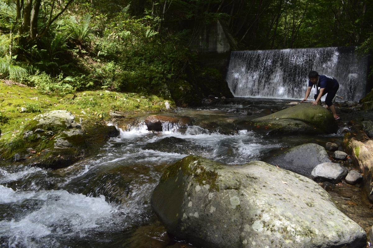 アウトドア記録 - 桐の木平キャンプ場で川遊び - outdoor coder