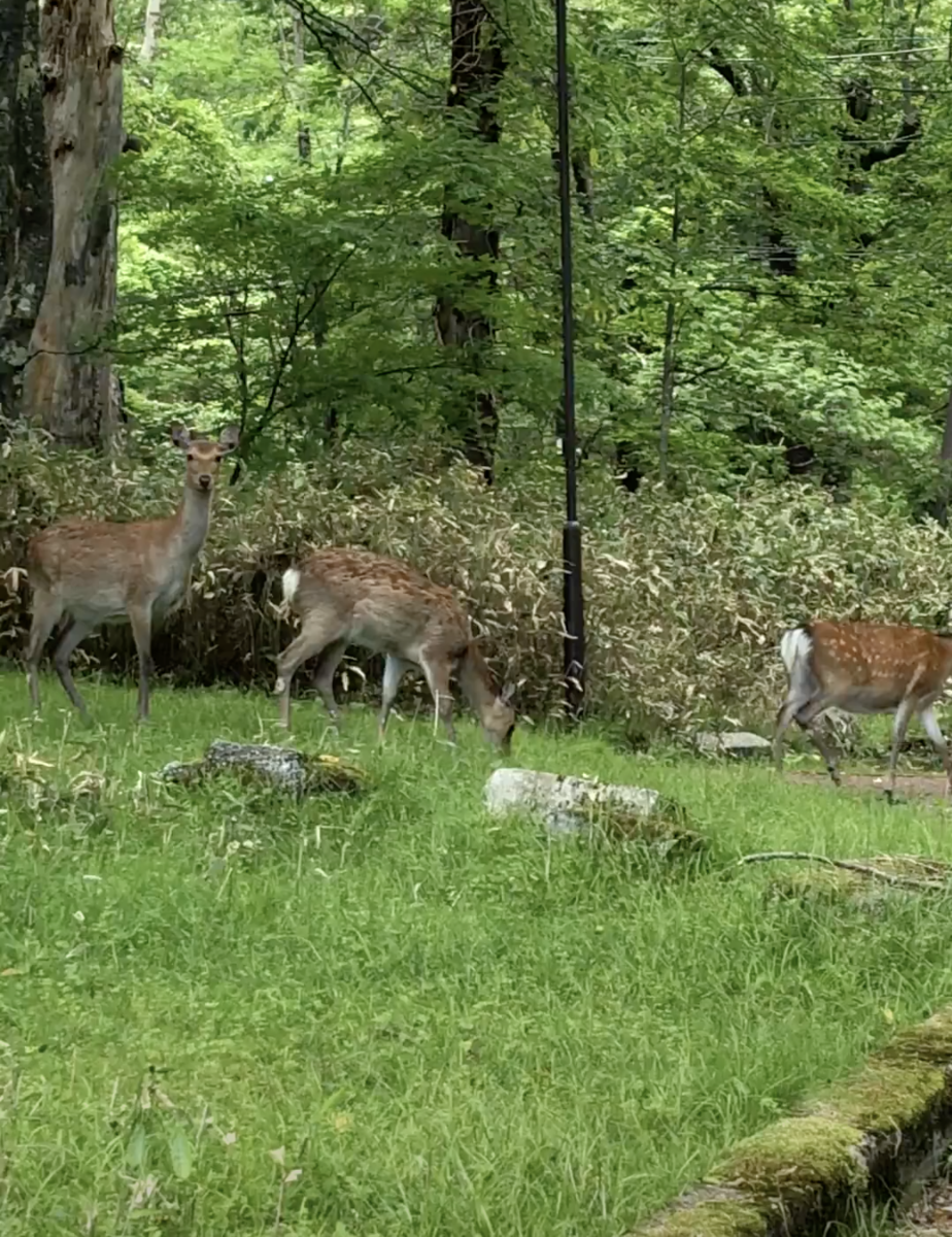 アウトドア記録 - 奥日光湯元の快適っぷりよ - outdoor coder