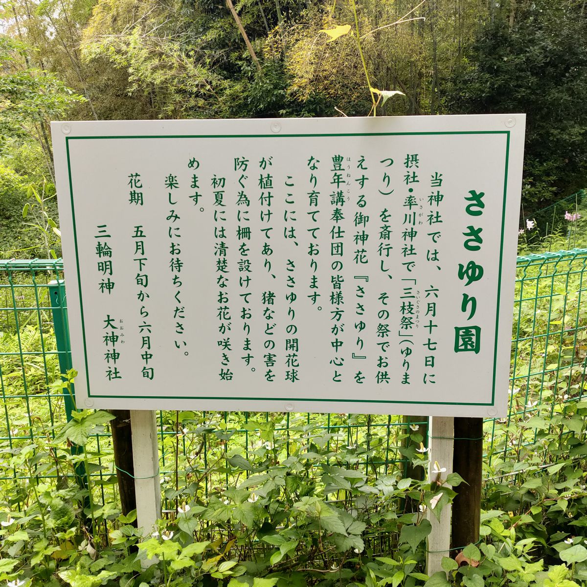 聖地巡礼奈良旅【大神神社周辺】 - N-moca LIGHT