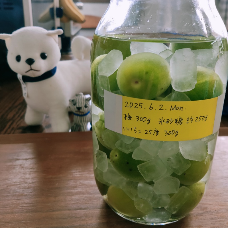 自家製梅酒 - N-moca LIGHT