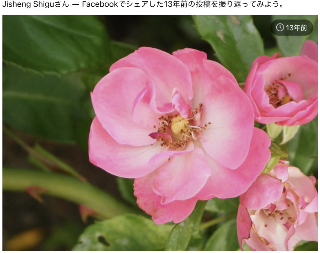 13年前の 昼 - yshigu’s diary