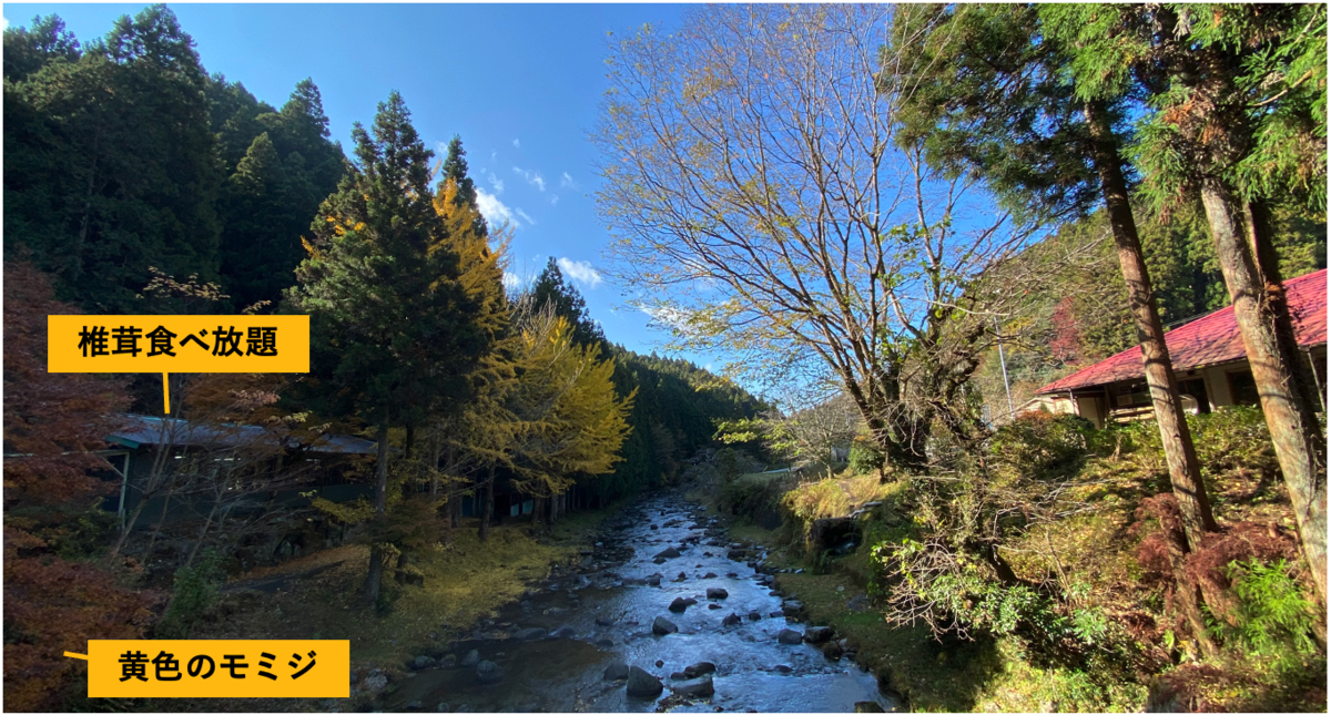 片道2時間、椎茸食べ放題の小さな旅 - yshigu’s diary