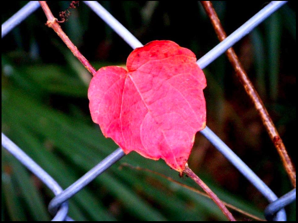 13年前の 昼 - yshigu’s diary